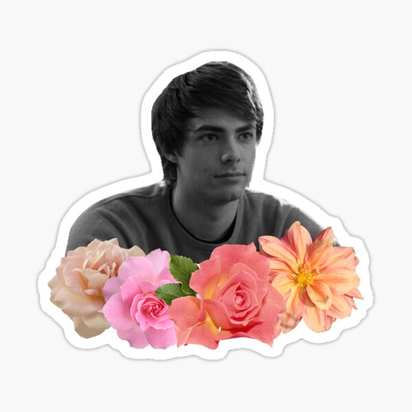 "aaron aesthetic" Sticker for Sale by ilomilo15 | Redbubble