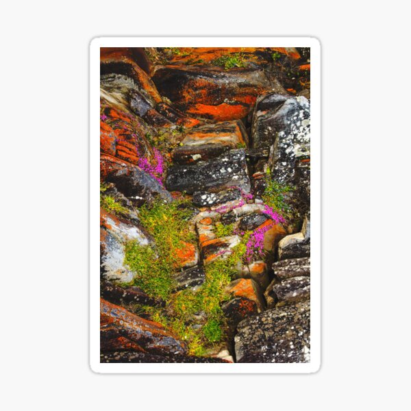 "Roche Collection" Sticker by Sioc | Redbubble