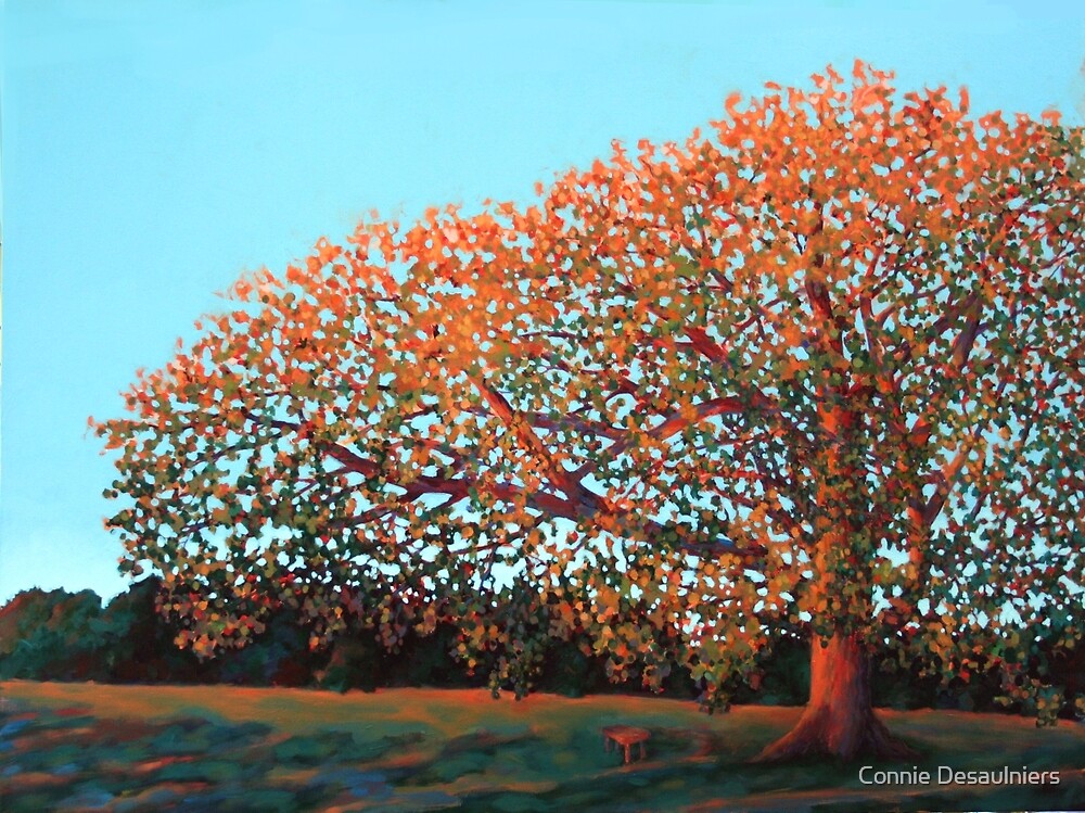 "Compton Oak at Dawn" by Connie Desaulniers | Redbubble