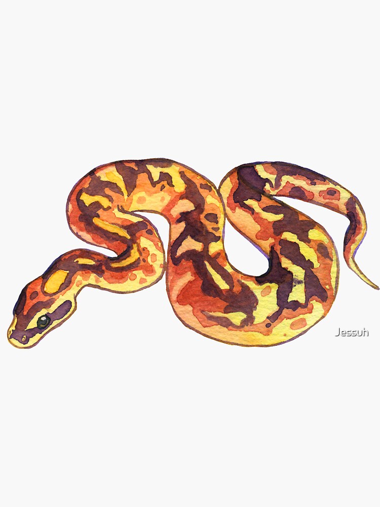 "Watercolor Ball Python" Sticker for Sale by Jessuh | Redbubble