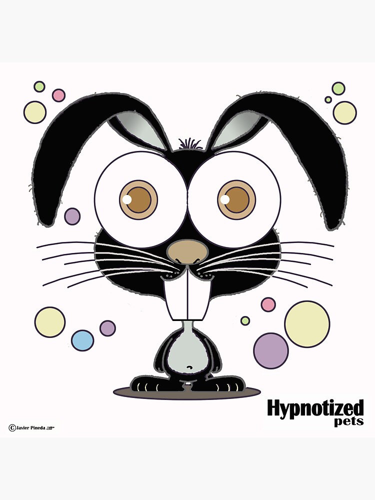 "Hypnotized Black Bunny" Sticker for Sale by Hypnotizedpets | Redbubble