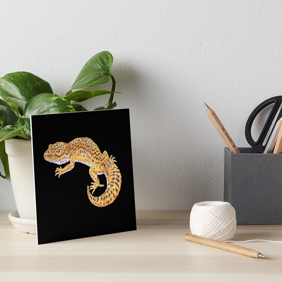 "Leopard Gecko" Art Board Print for Sale by TimJeffsArt | Redbubble