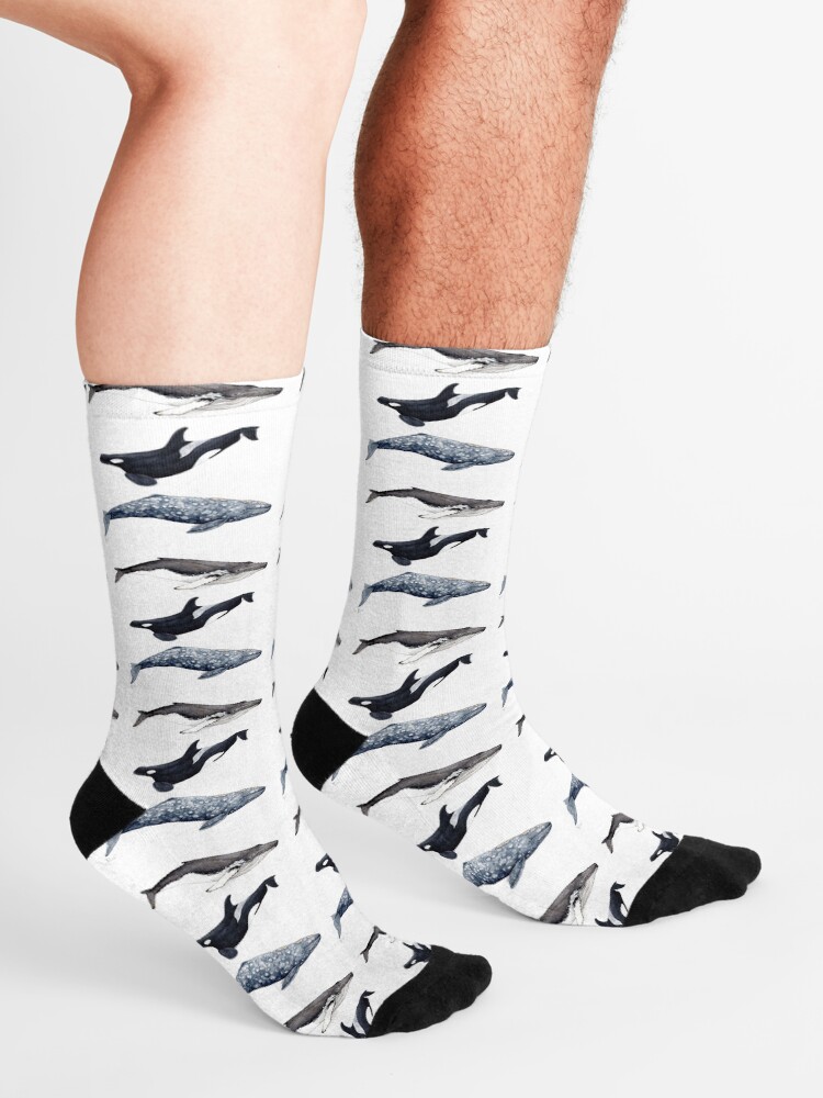 "Orca, humpback and grey whale" Socks by CHLOEYZOARD | Redbubble