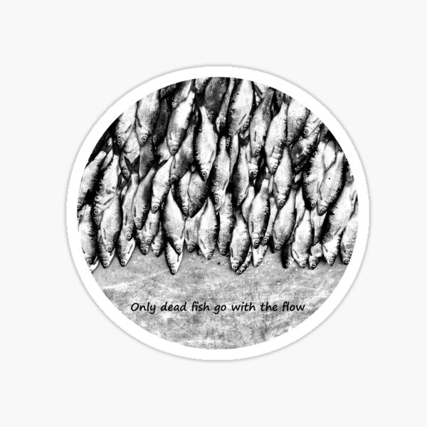 "Cold Fish (by samanehsalavati)" Sticker by modopod1 | Redbubble