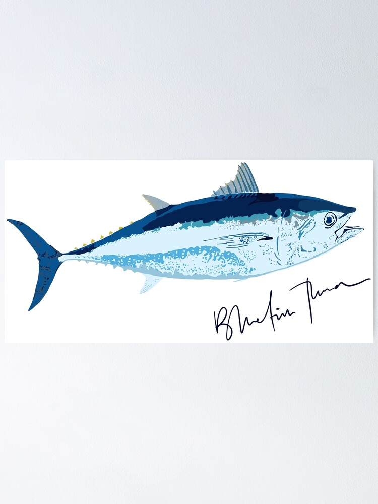 "Bluefin Tuna" Poster by WHELK | Redbubble