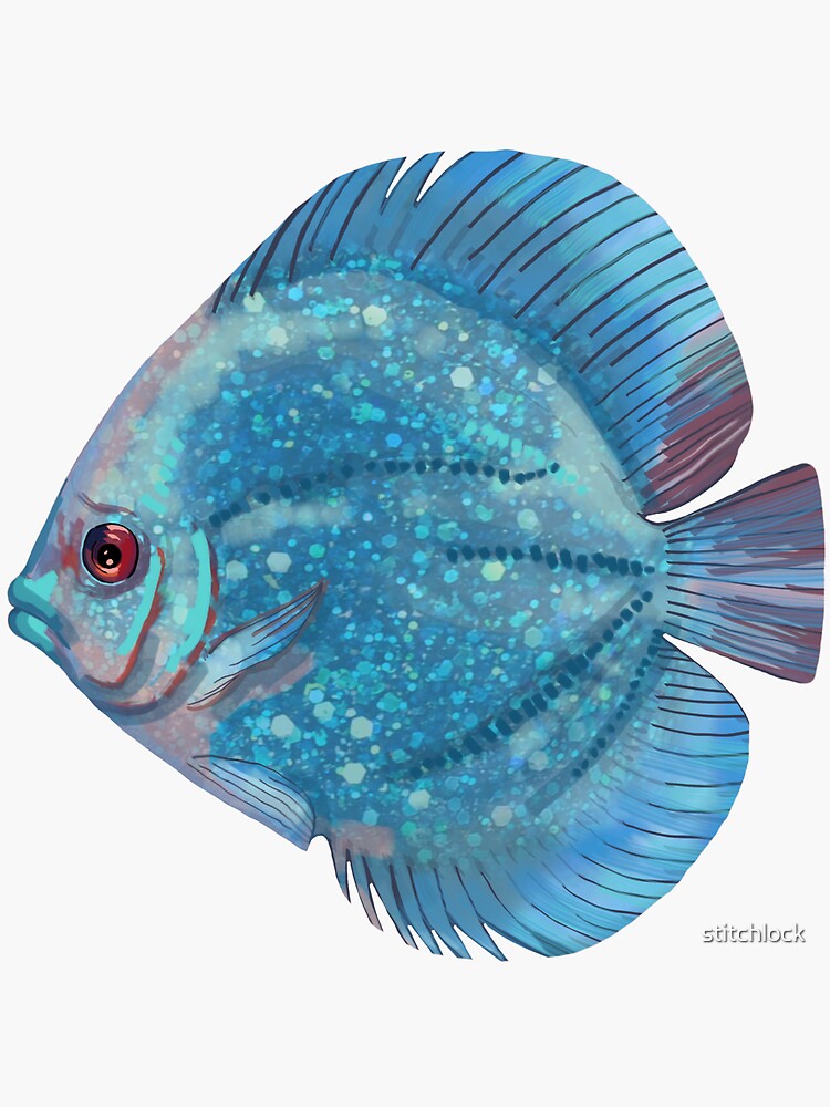 "Blue Discus Fish" Sticker by stitchlock | Redbubble