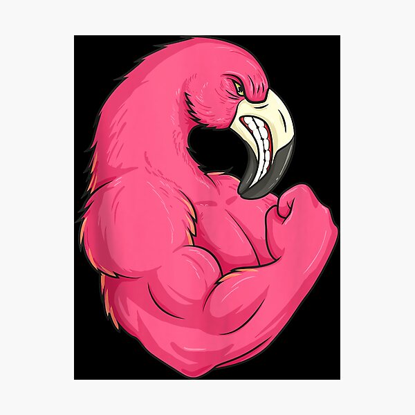 "Funny Flamingo Weightlifting Bodybuilder Muscle Fitness " Photographic ...