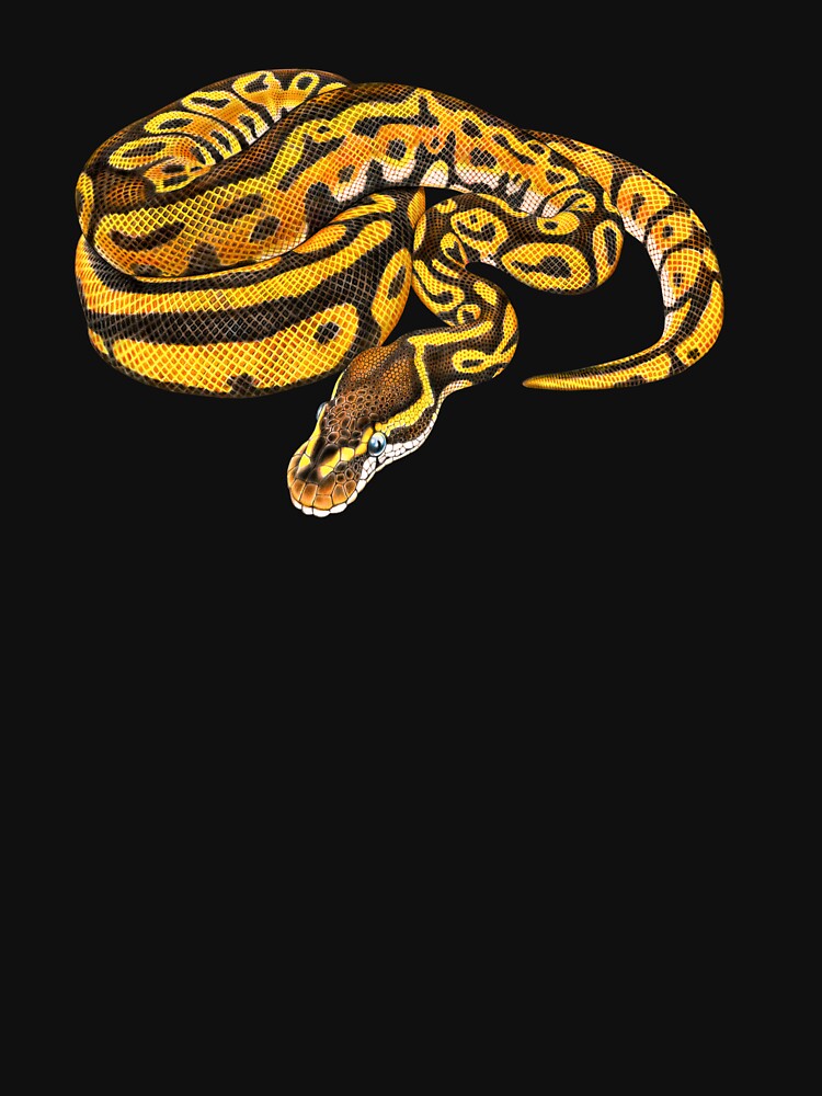 "Ball Python" T-shirt for Sale by TimJeffsArt | Redbubble | ball python ...