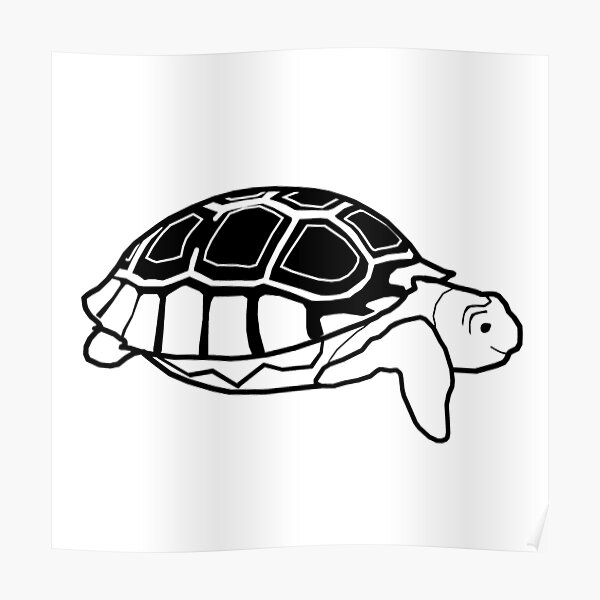Póster «Tortuga Sulcata Buddy Blanco y Negro» de TeamManja | Redbubble