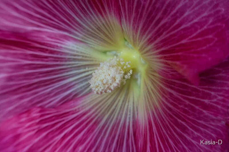 "Mellow Mallow" by Kasia-D | Redbubble