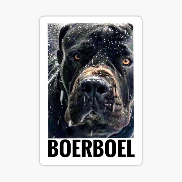 "Boerboel" Sticker for Sale by cion49 | Redbubble