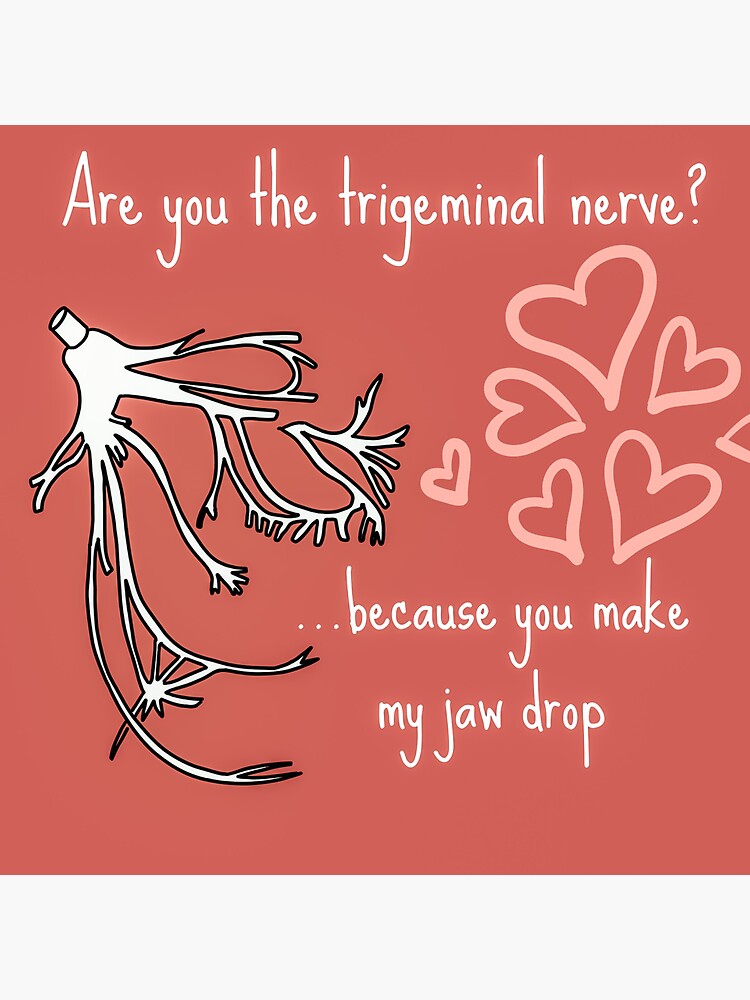 Trigeminal Nerve Memes Can Stress Cause Trigeminal Neuralgia: