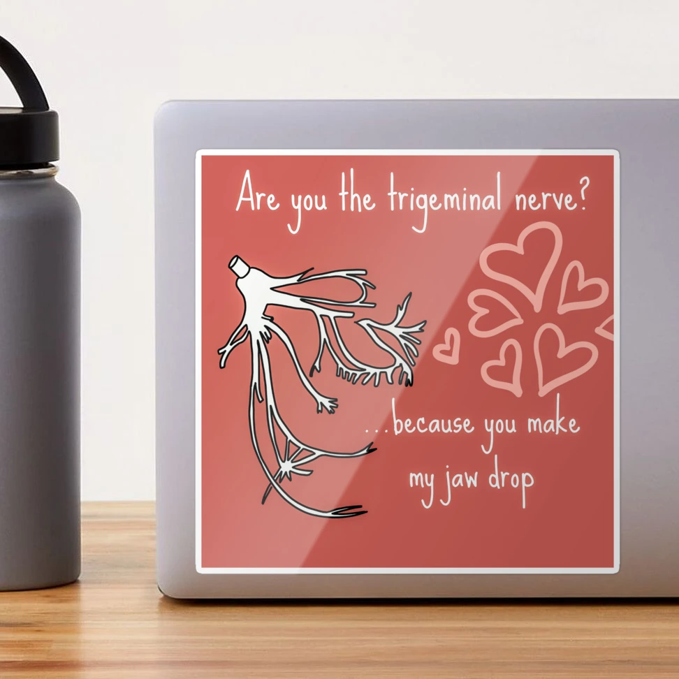 Trigeminal Nerve Memes