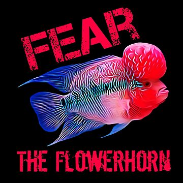 "Flowerhorn Fish Cichlid Aquarium Funny Monster Fish Fishkeeping Cute ...