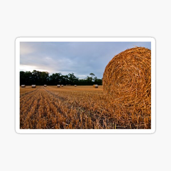Hay Bale Stickers | Redbubble