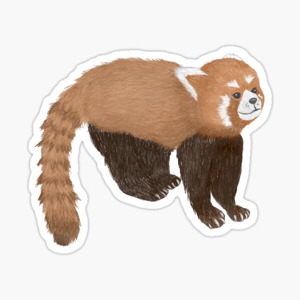 Panda Stickers | Redbubble