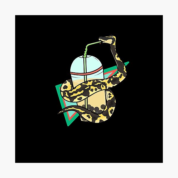 "Ball Python Bubble Tea" Photographic Print for Sale by EmmArtt | Redbubble
