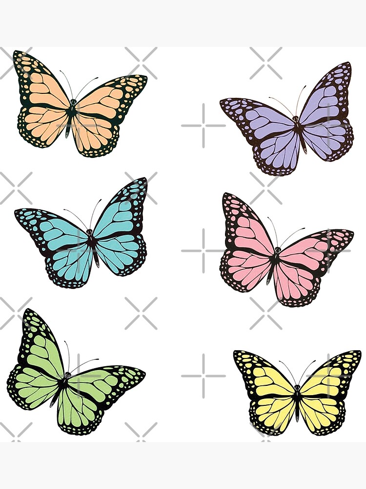 "Butterfly Pack" Poster for Sale by sydneyw31 | Redbubble