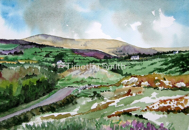 ""Mountains & Moors" - Ballymakeera, County Cork, Ireland" by Timothy ...