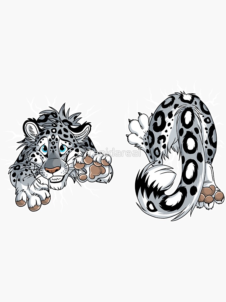 "Front & Back - STUCK Snow Leopard (white cracks)" Sticker for Sale by ...