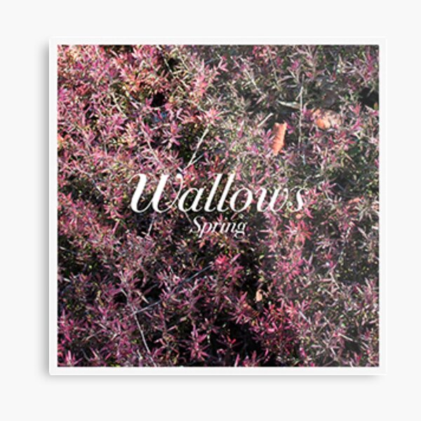 Wallows Album Metal Prints | Redbubble
