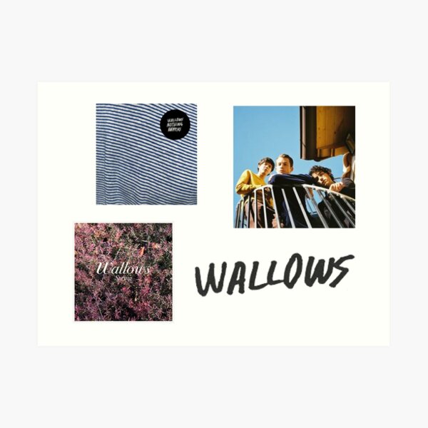 "Wallows Set" Art Print for Sale by Saerayy | Redbubble