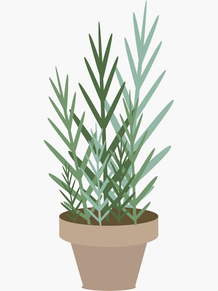 "Spike Fern Plant" Sticker for Sale by Chasemallory | Redbubble