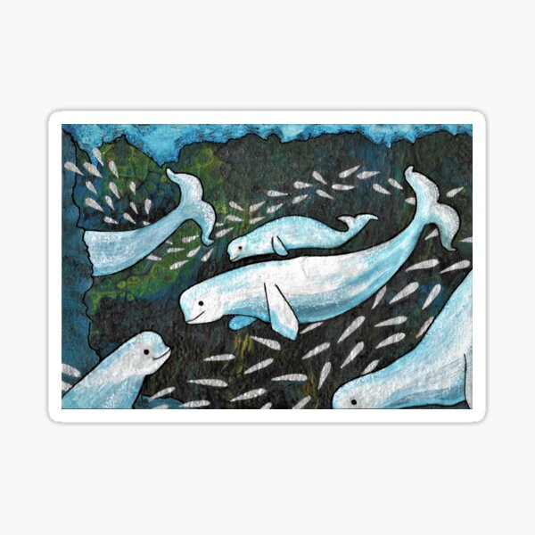 "Beluga Whales" Sticker for Sale by CadenceLG | Redbubble