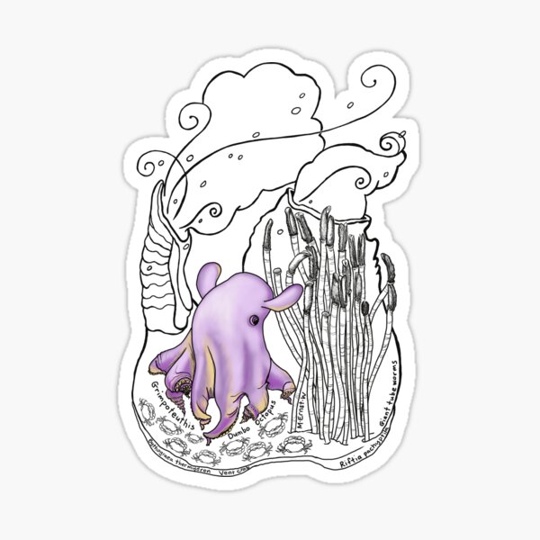 "Dumbo Octopus" Sticker for Sale by mernstw | Redbubble