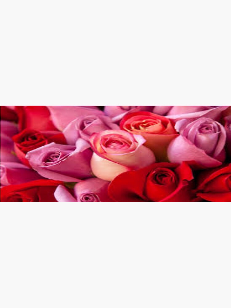 "roses are forever " Sticker by RURU12 | Redbubble