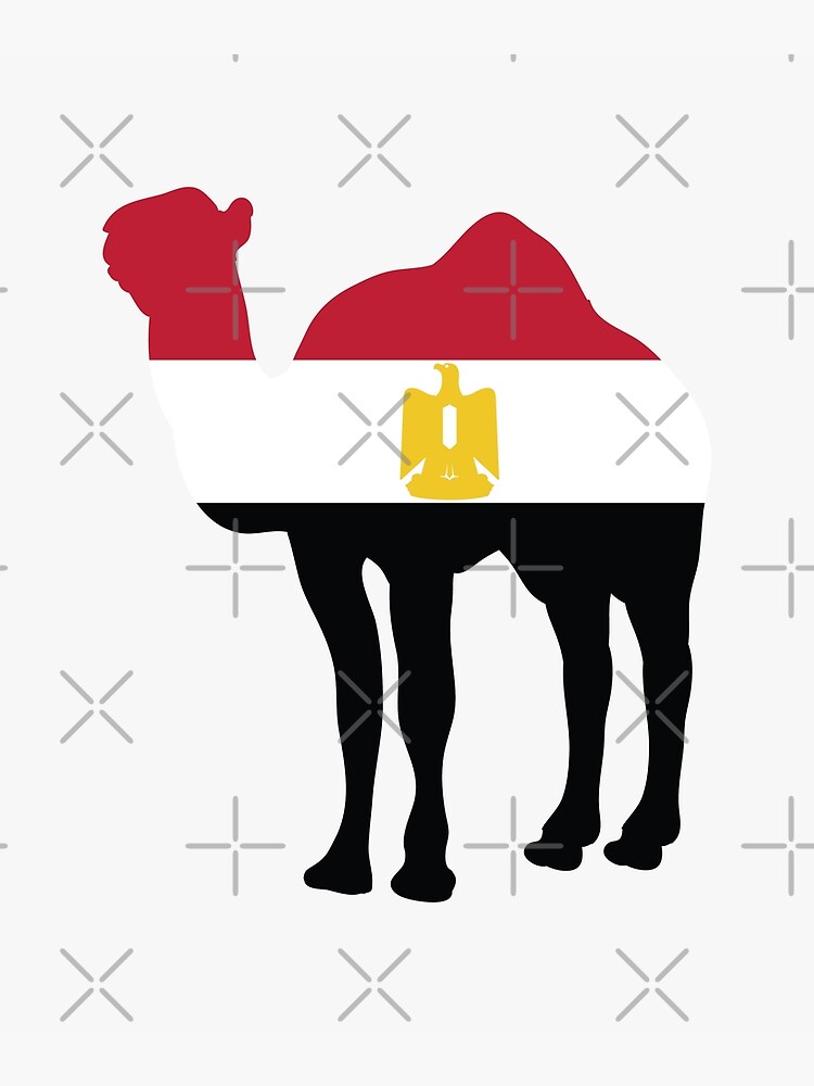 "Egypt Camel Flag" Canvas Print for Sale by MasartDesigns | Redbubble