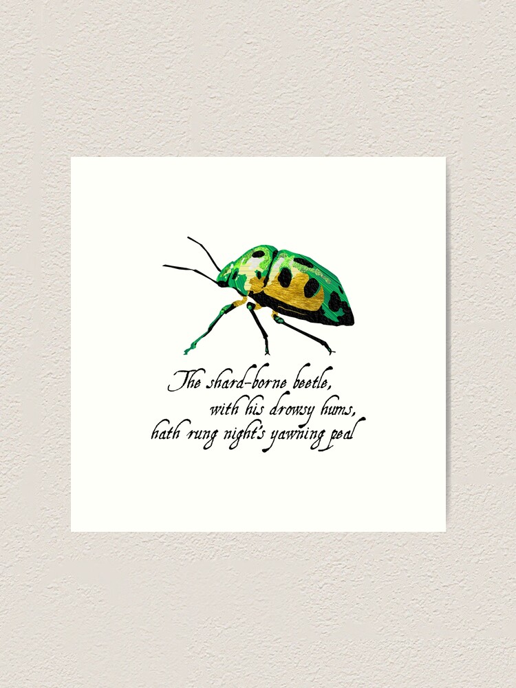 "Beetle - Shakespeare Quote - Laudea Martin" Art Print for Sale by ...