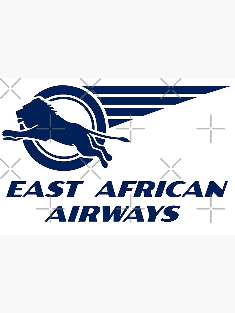 African Airline Logo South African Airways Pilot Resigns After His