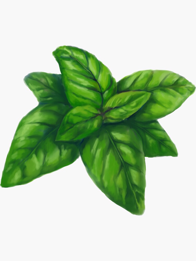 "Basil" Sticker for Sale by keijukoiso | Redbubble