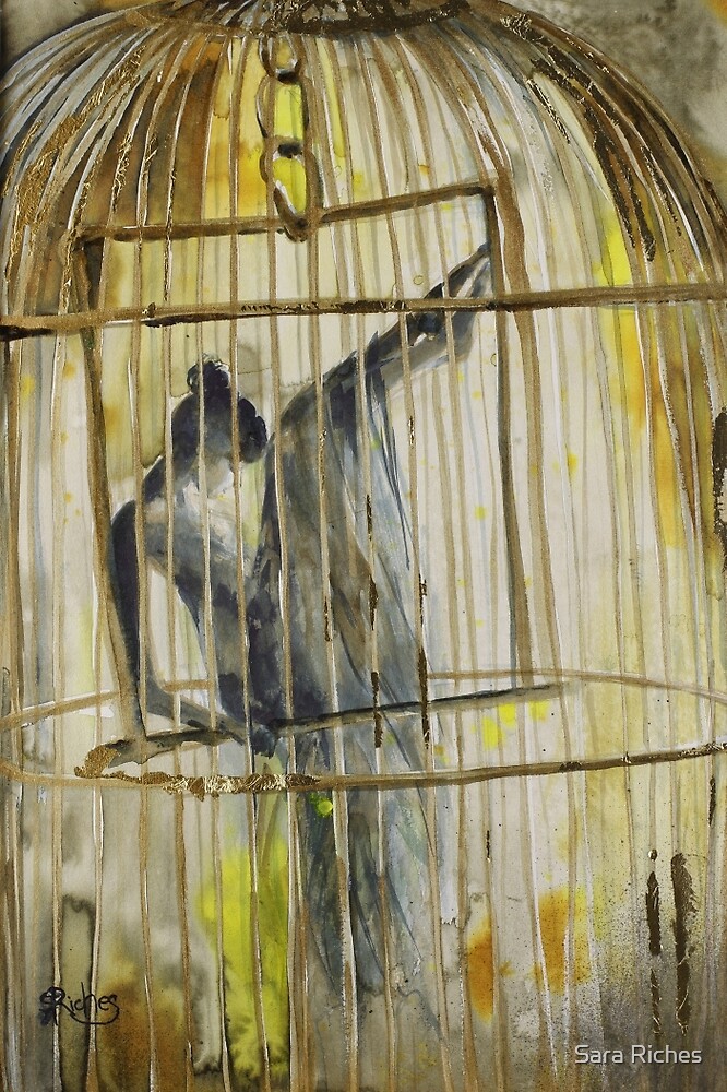 "Caged" by Sara Riches | Redbubble