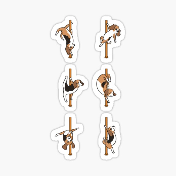 "Beagle Pole Dancing Club" Sticker for Sale by Huebucket | Redbubble