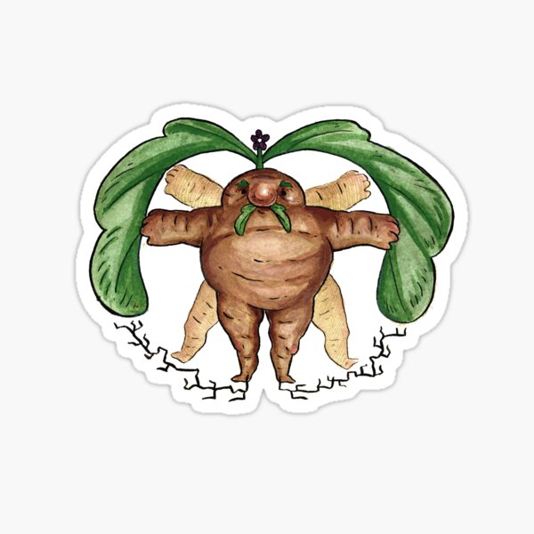 "Vitruvian Mandrake" Sticker for Sale by rootpeople | Redbubble