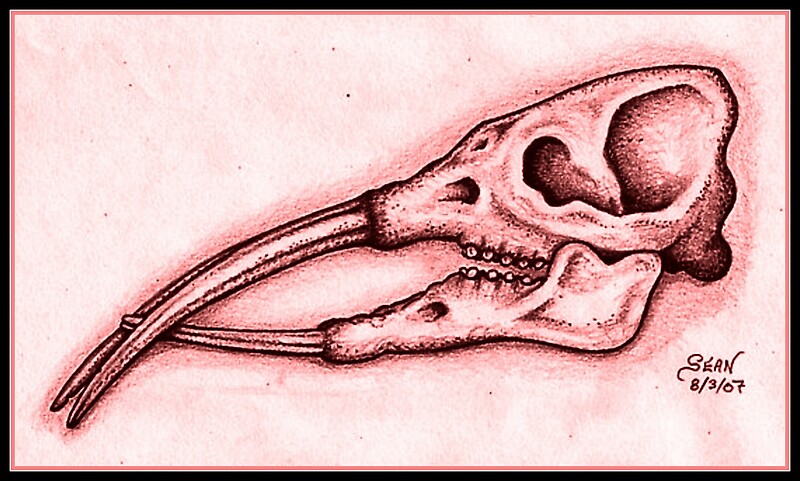 "Great Tetrabelodon (II)" by Sean Phelan | Redbubble