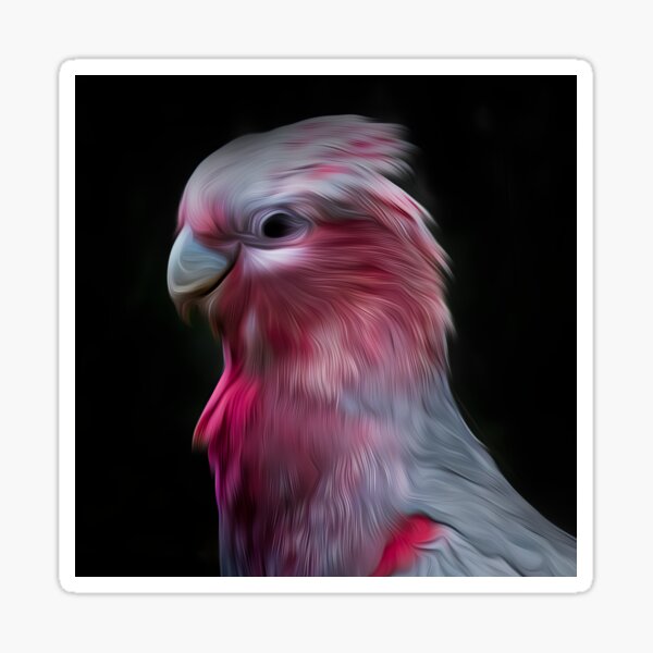 "Australian Natives - Galah" Sticker for Sale by Scottyosborn | Redbubble
