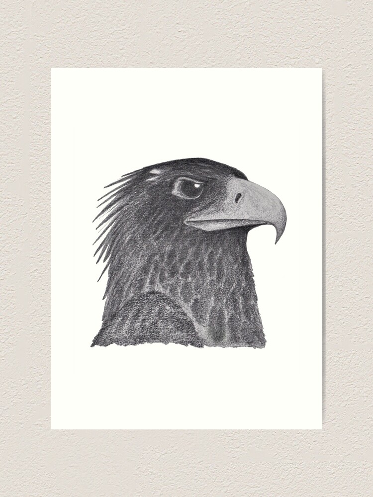"WEDGE TAILED EAGLE , ORIGINAL PENCIL DRAWING .." Art Print by fyconArt ...