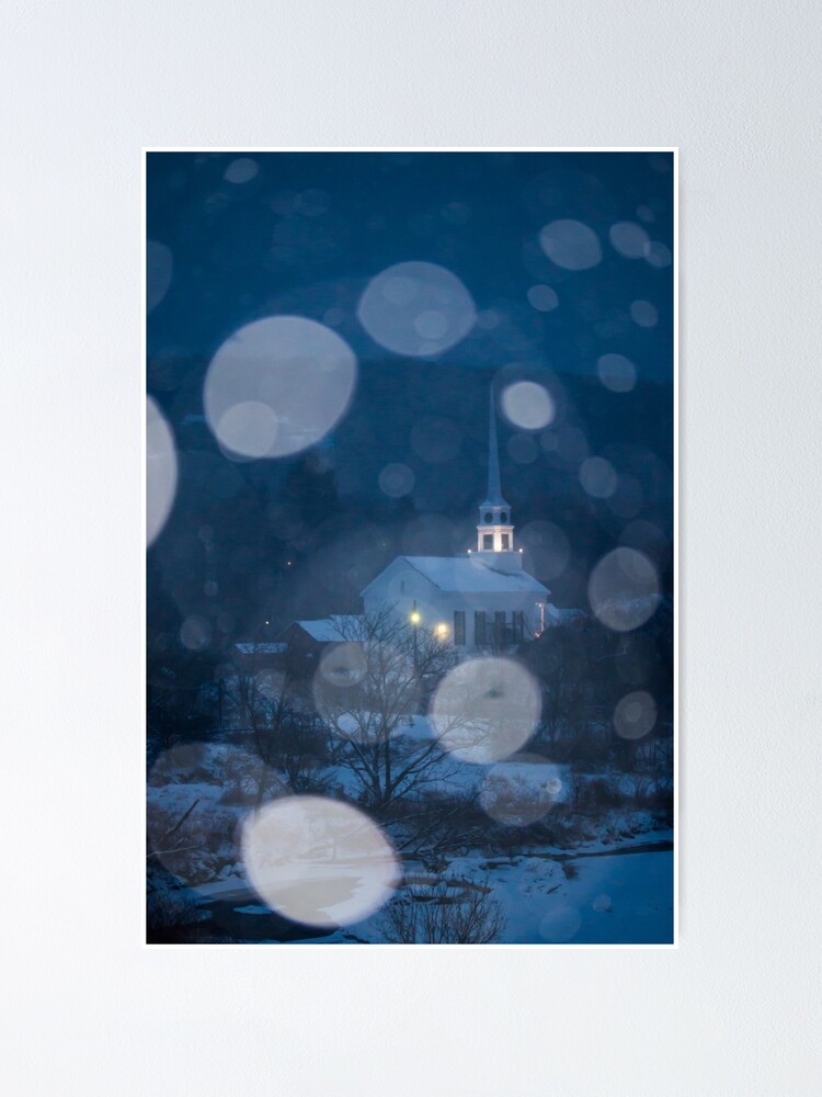 "Snow Globe " Poster for Sale by HLGlenn | Redbubble