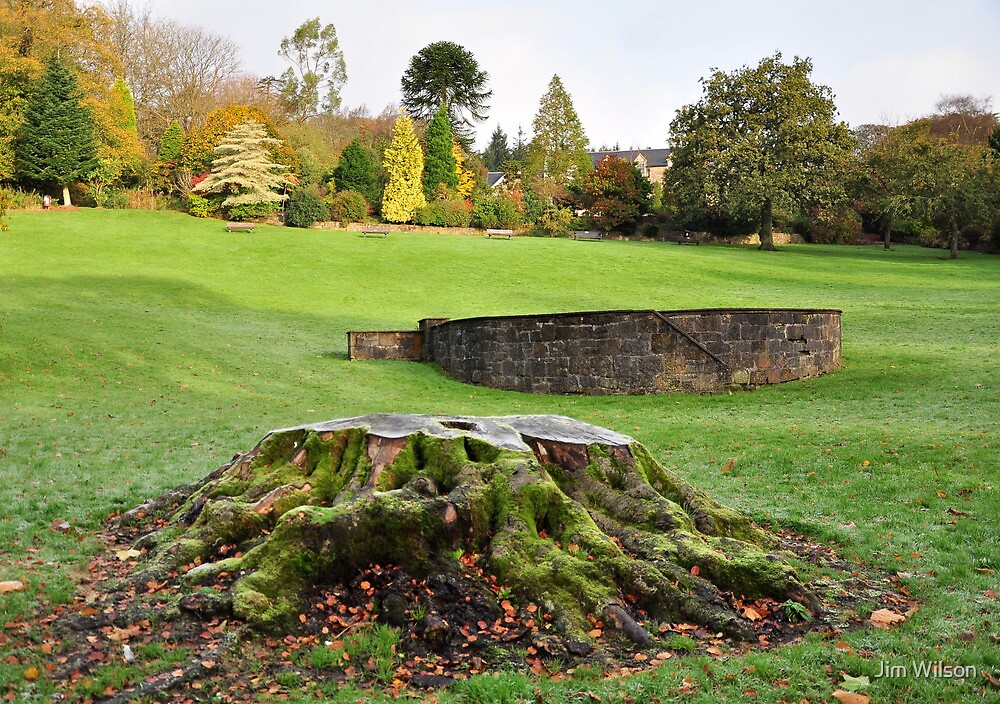 "Colzium Gardens, Colzium Estate Kilsyth,Scotland" by Jim Wilson ...