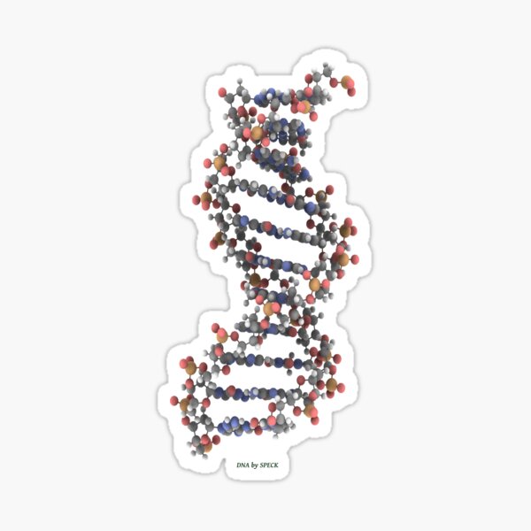 "Ball and Stick DNA strand" Sticker for Sale by Opsicle14 | Redbubble