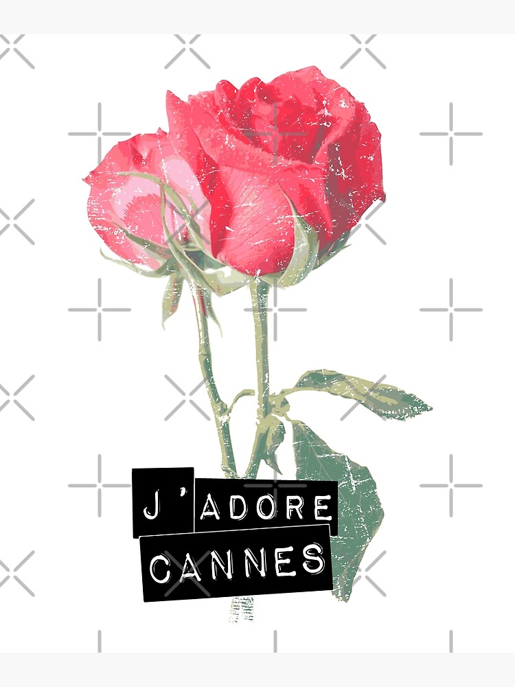"Cannes France Rose Flower J'adore I LOVE CANNES Vintage" Photographic ...