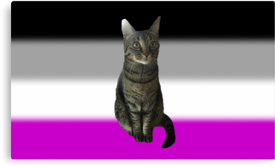 " Ace Cat 2" Canvas Print by Amanda1775 | Redbubble