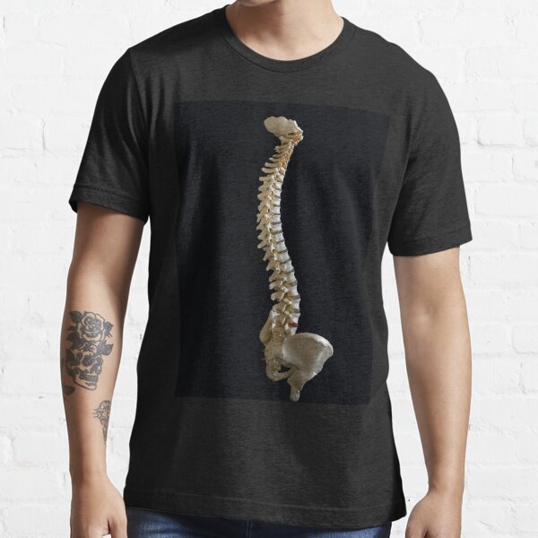 "Spine" T-shirt for Sale by doorfrontphotos | Redbubble | anatomical t ...