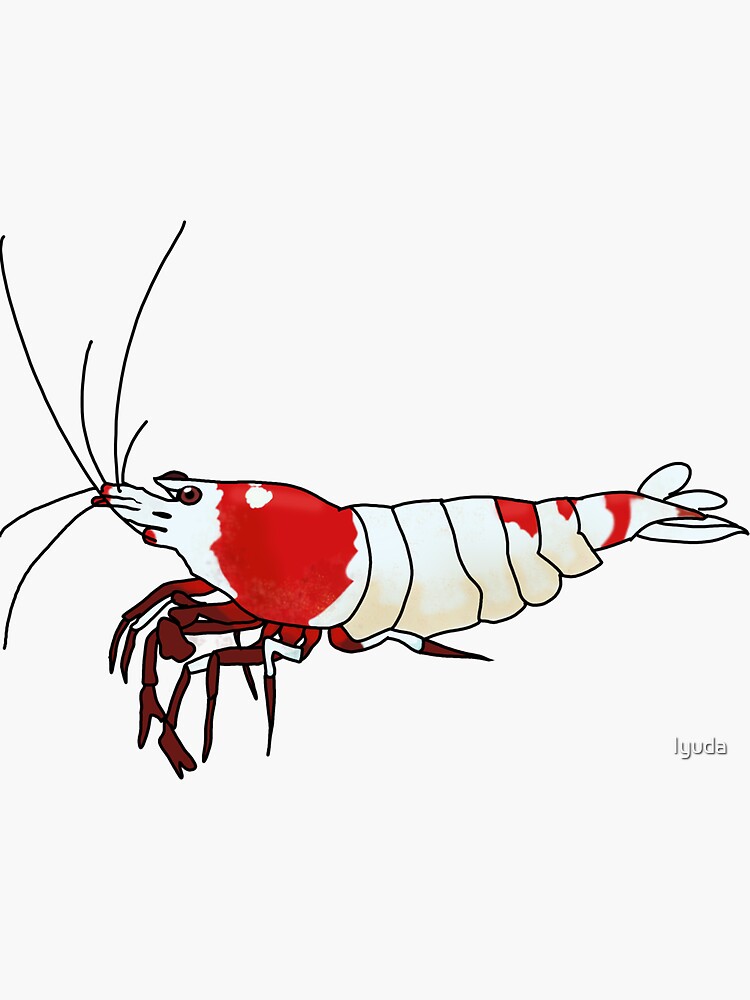 "Red Crystal Shrimp" Sticker by Iyuda | Redbubble