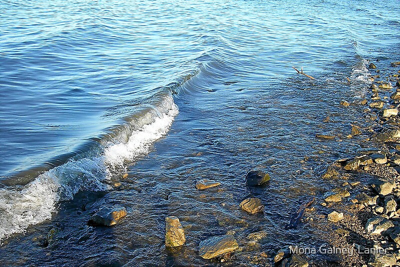 "Ky. Lake Shoreline" by Mona Gainey-Lanier | Redbubble