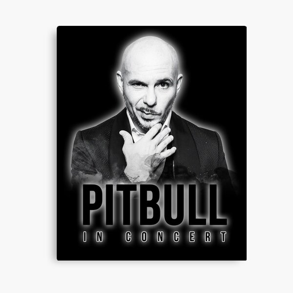 Pitbull Rapper Wall Art | Redbubble