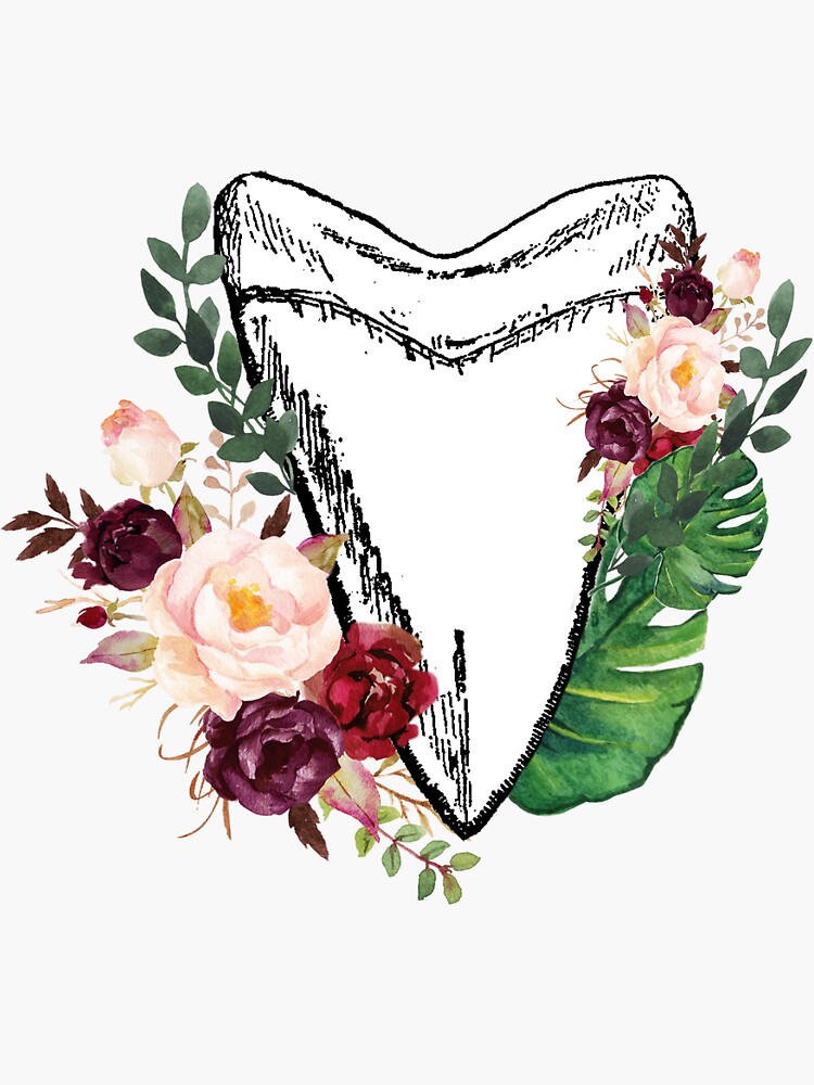 "shark tooth" Sticker by ElleHodge | Redbubble
